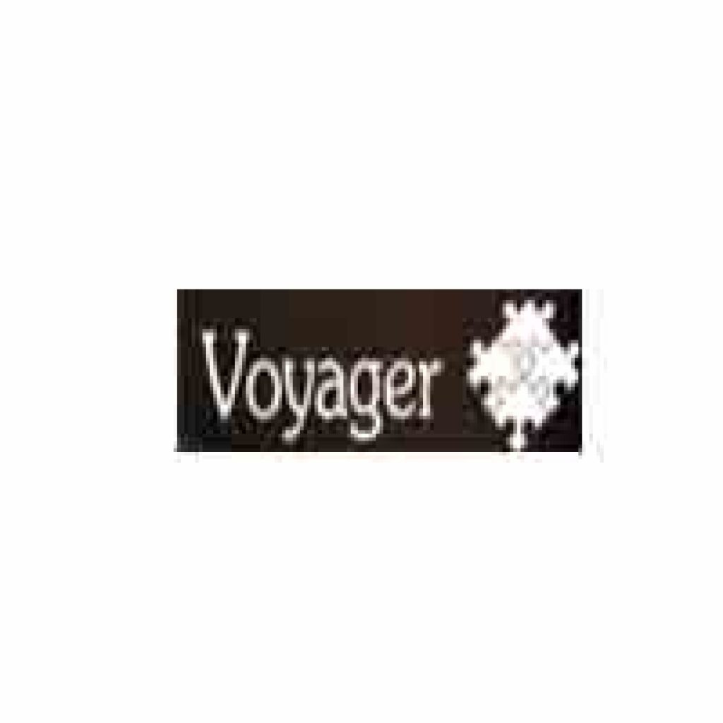 Voyager Infinity | Top Recruiting Softwar - Reviews, Pricing & Demo