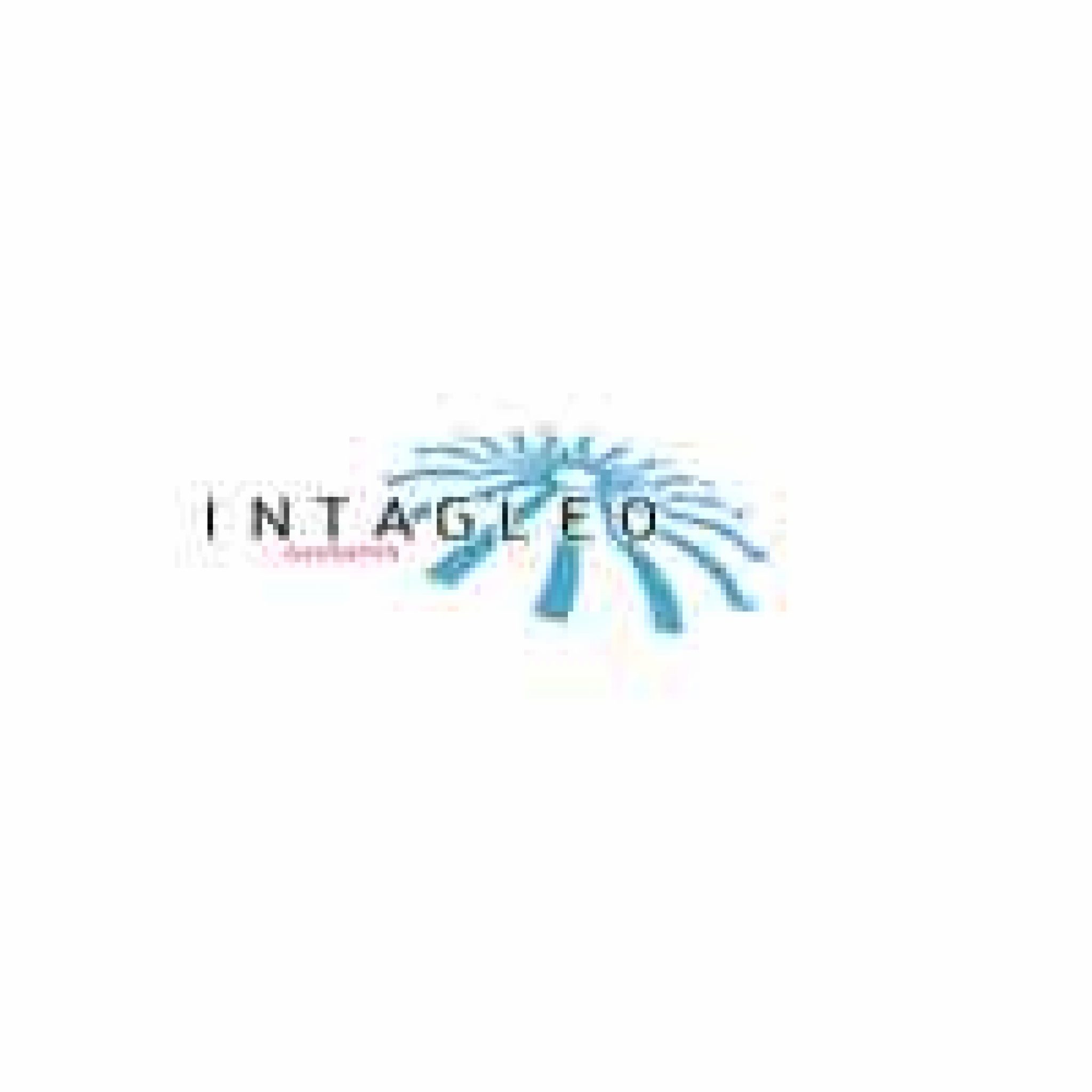 Intagleo Systems 