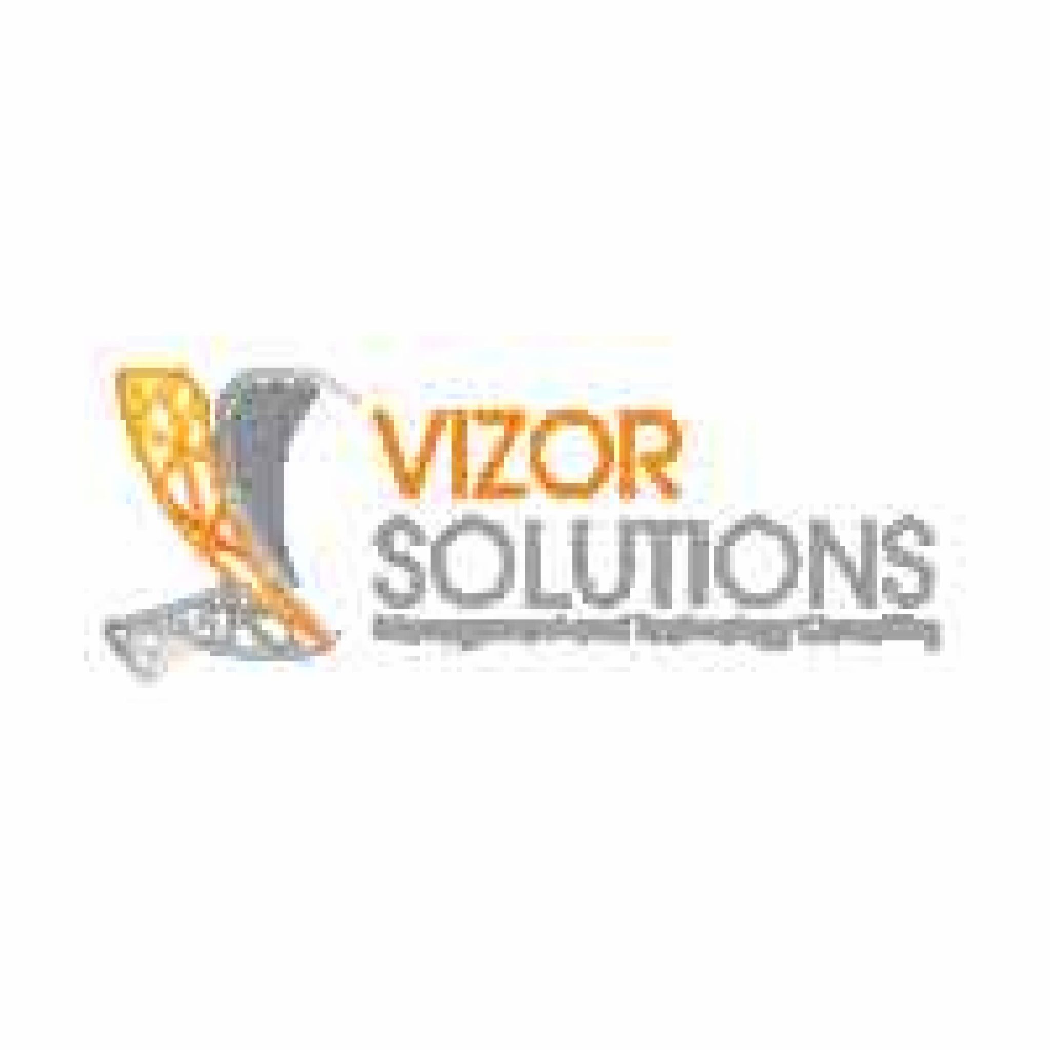 Vizor Solutions